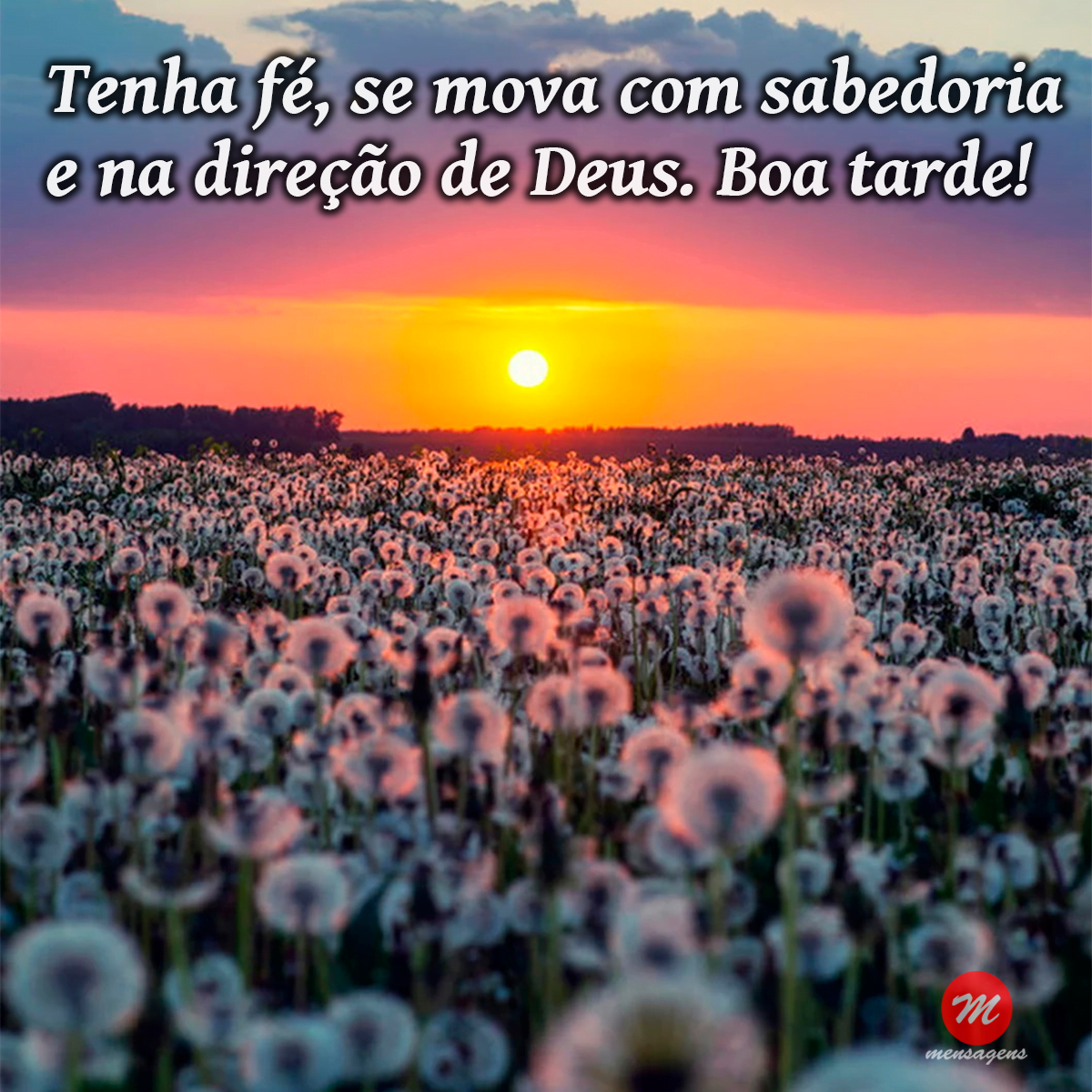 Frase De Boa Tarde Com Deus Tenha Fé Se Mova Com Sabedoria E Na
